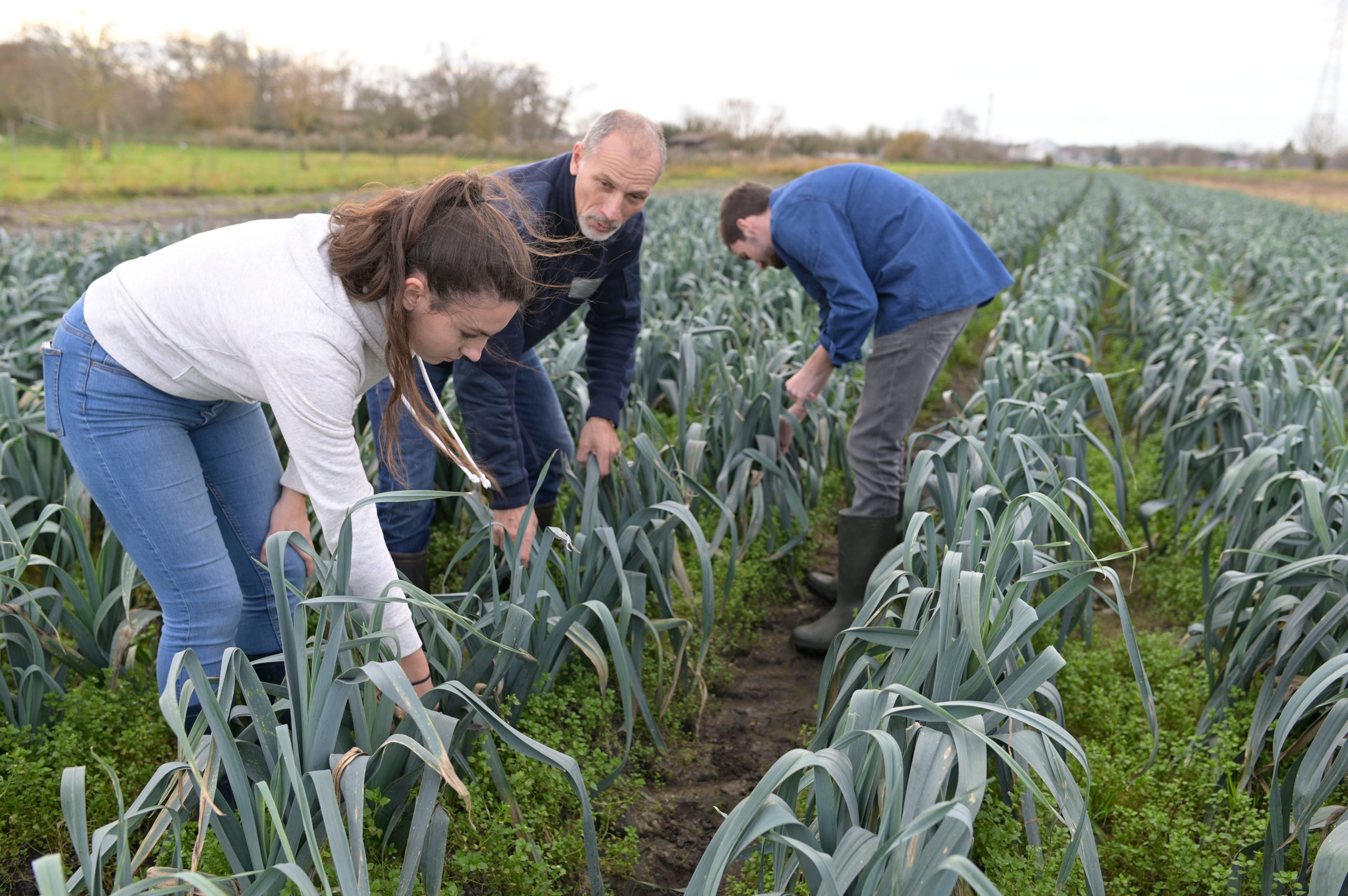 Cursus en agroécologie : se donner les moyens de ses ambitions – Tchak