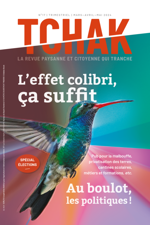élections 2024 – Tchak